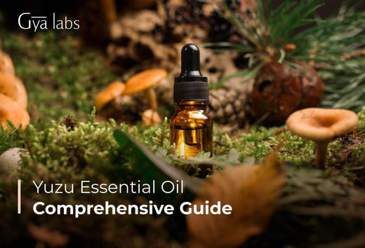 Yuzu Essential Oil Complete Benefits Guide - Gya Labs