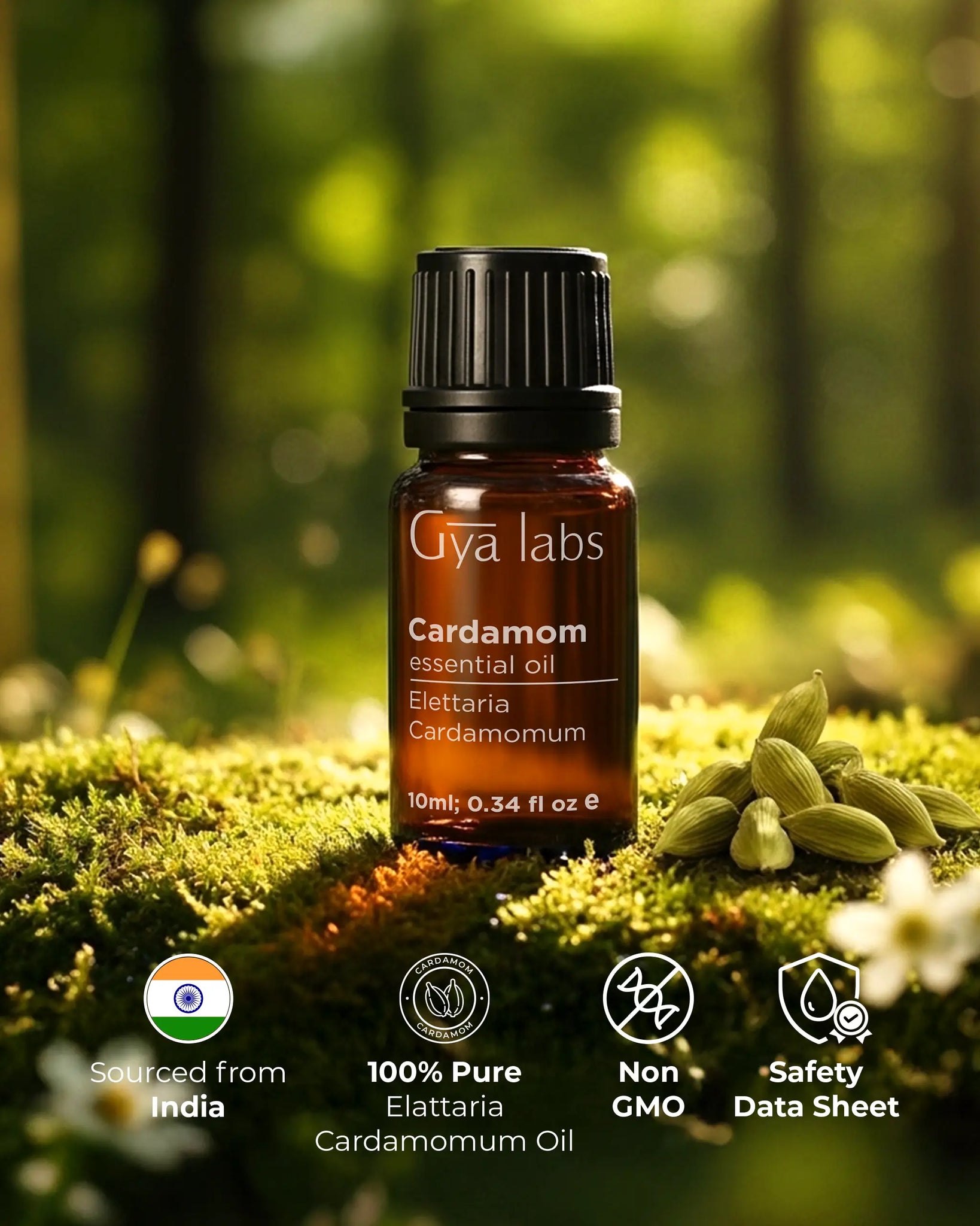 Cardamom Essential Oil – Sweet Spicy Aroma & Benefits – Gya Labs