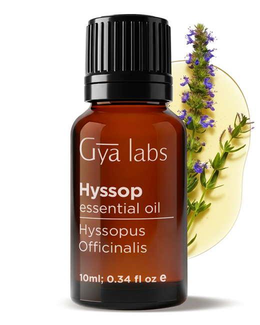Hyssop Essential Oil for Aromatherapy & Wellness – Gya Labs