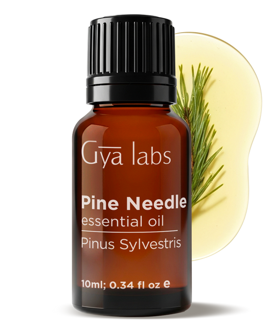 Pine Needle Essential Oil – Red Pine Needle Oil – Gya Labs